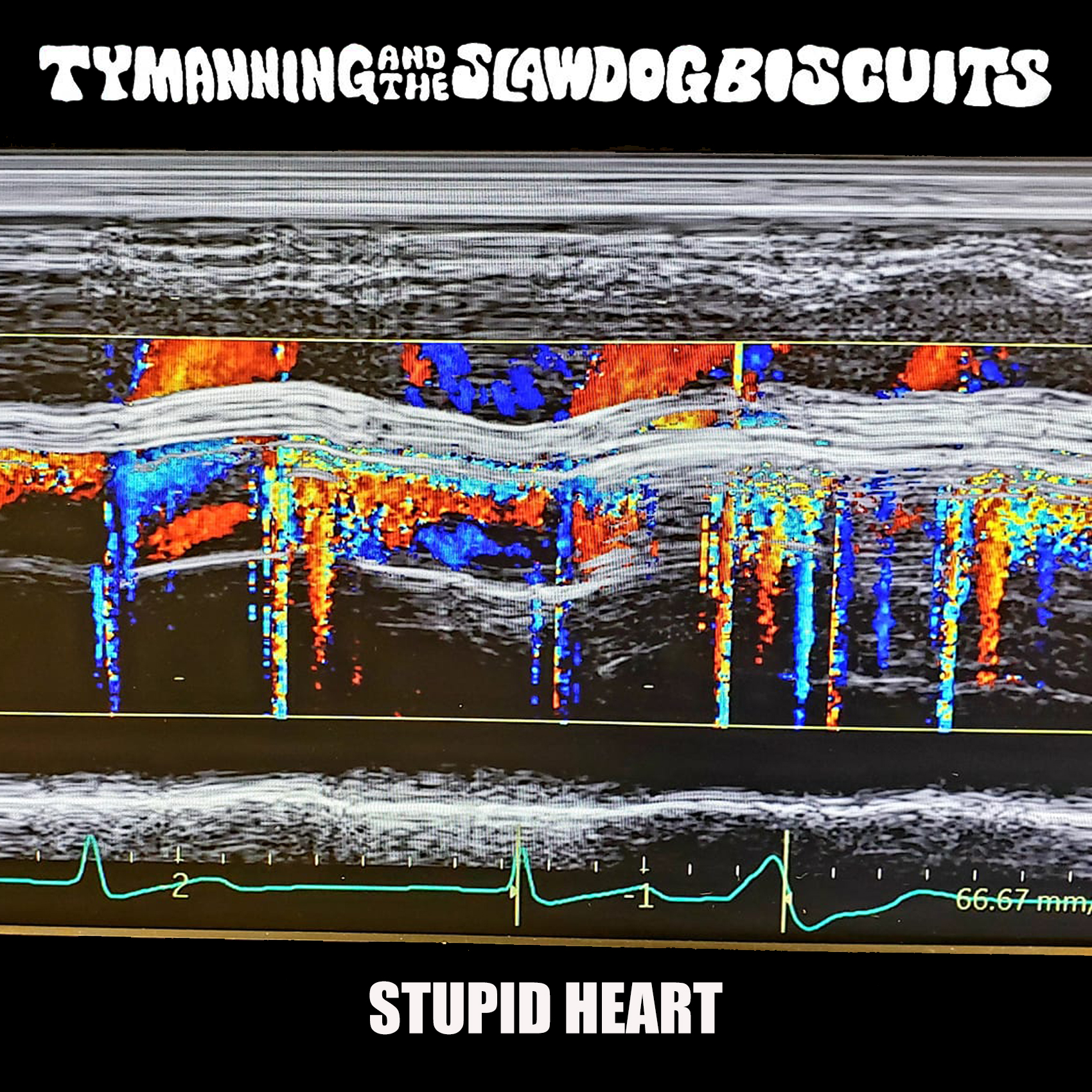 Available Now! “Stupid Heart” The New EP from Ty Manning and the ...